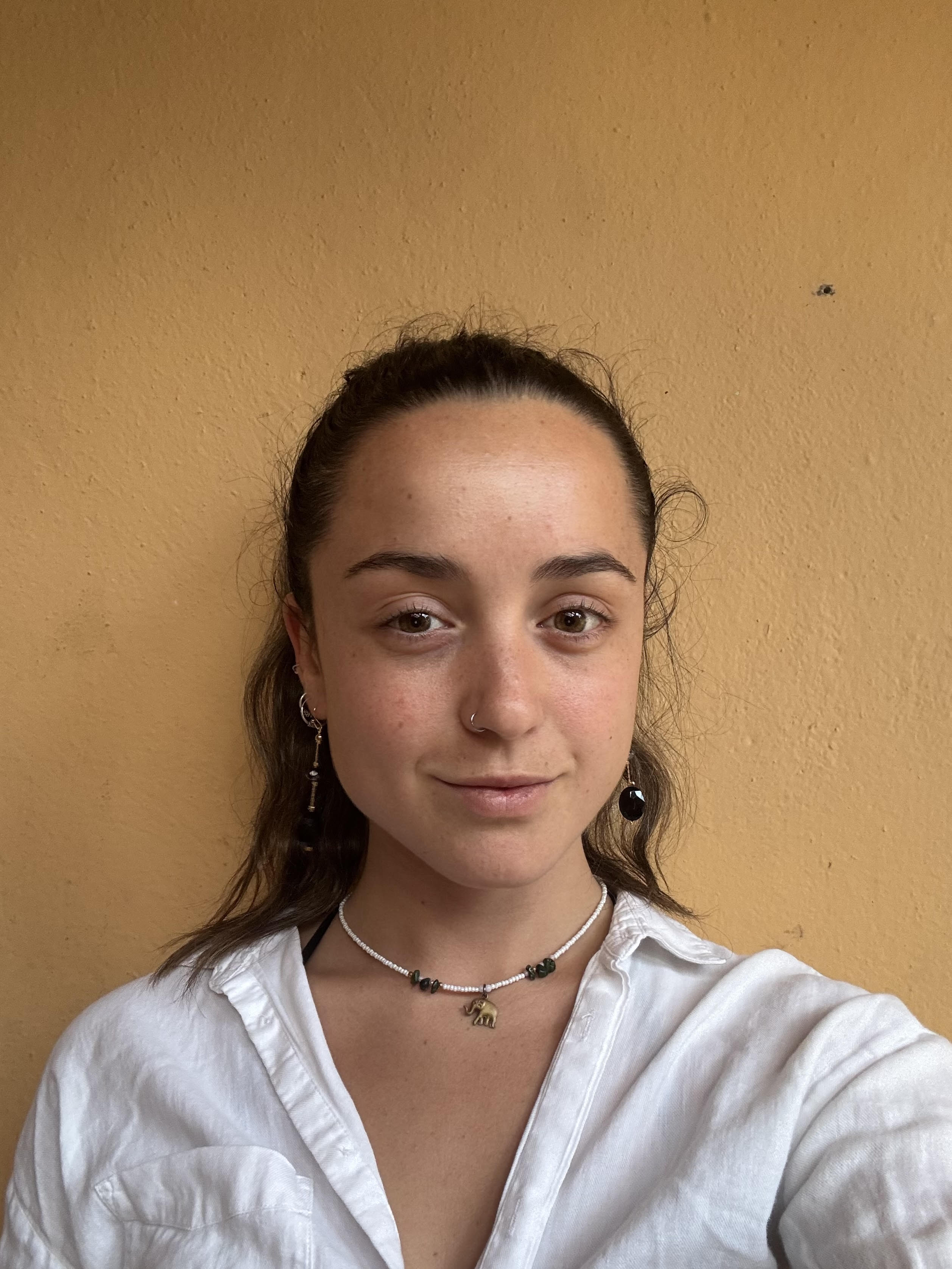 My Profile - My Profile